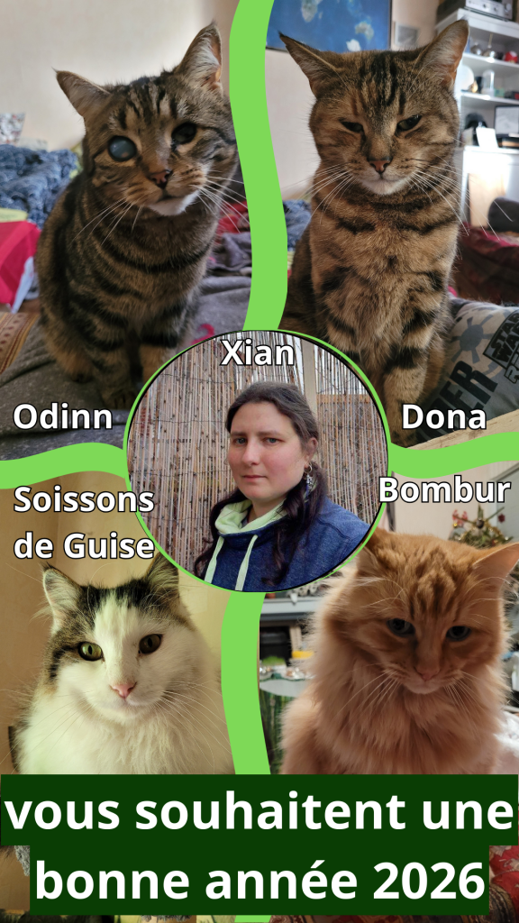 Bonne Anne 2026 – Xian Moriarty